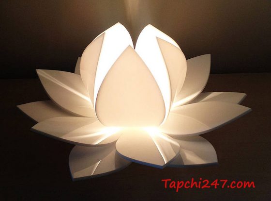 50+ mẫu vector hoa sen đẹp! - Tạp chí 247