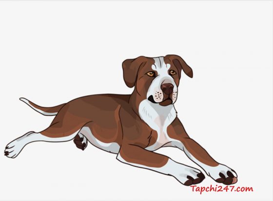 40+ mẫu con chó vector đẹp - Tạp chí 247